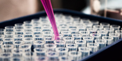 Symposium On Essential Oils – Corporação LECO